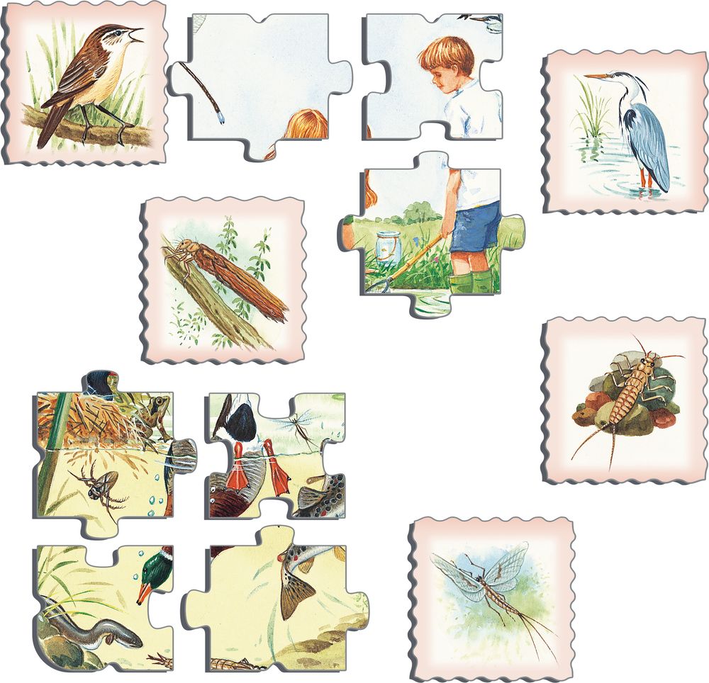 NA3 - Nature Puzzle: Pond :: Science and facts :: Puzzles :: Larsen Puzzles