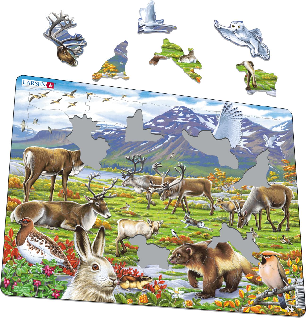 FH14 - Flora and Fauna of the Arctic Tundra :: Animals :: Puzzles ...