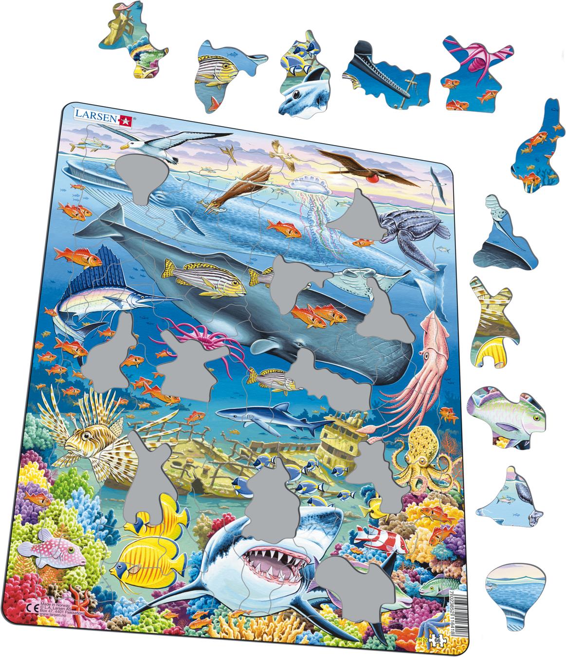 FH20 - Marine Life in the Pacific Ocean :: Animals :: Puzzles :: Larsen ...