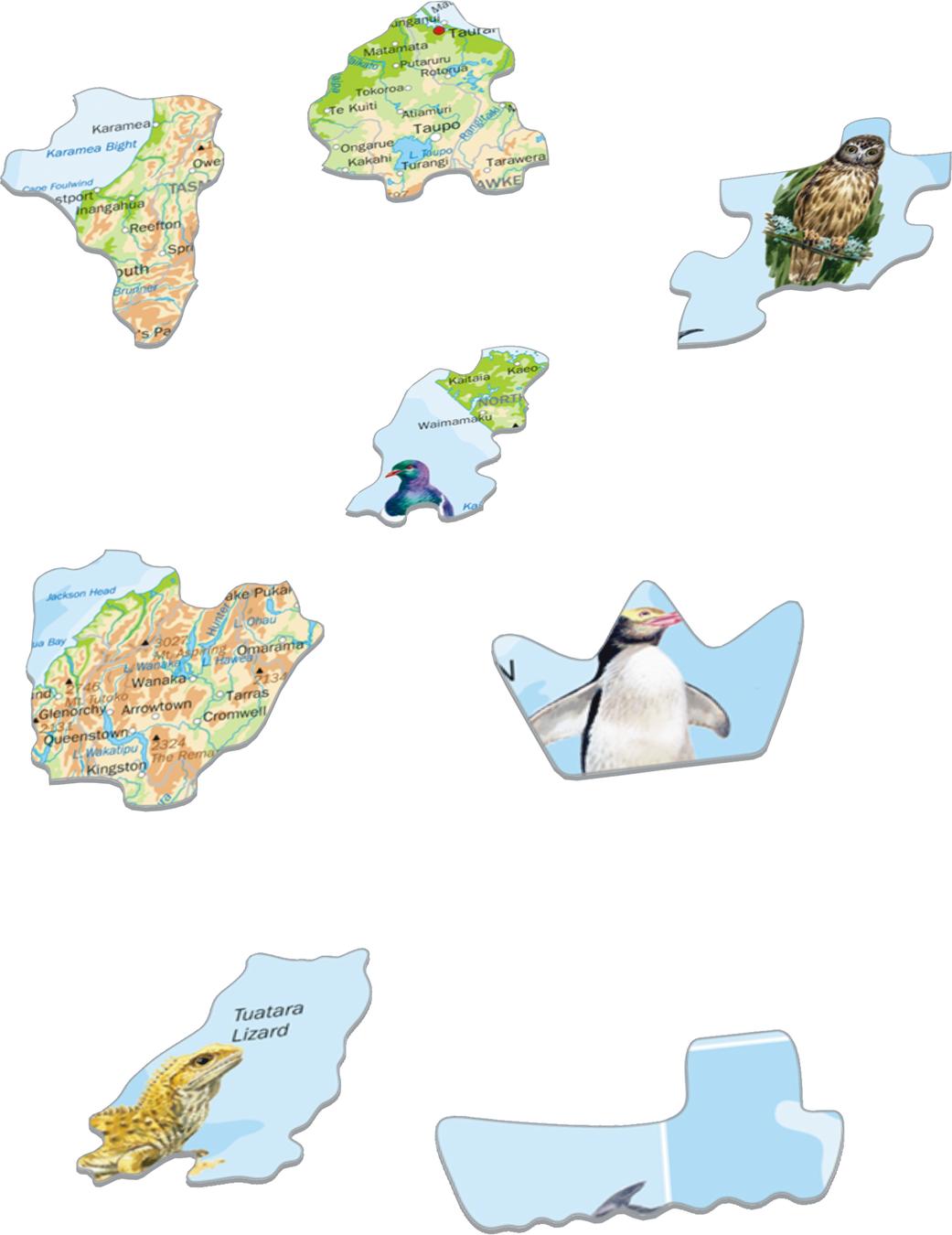 A4 - New Zealand Physical Map :: Maps of countries :: Puzzles :: Larsen ...