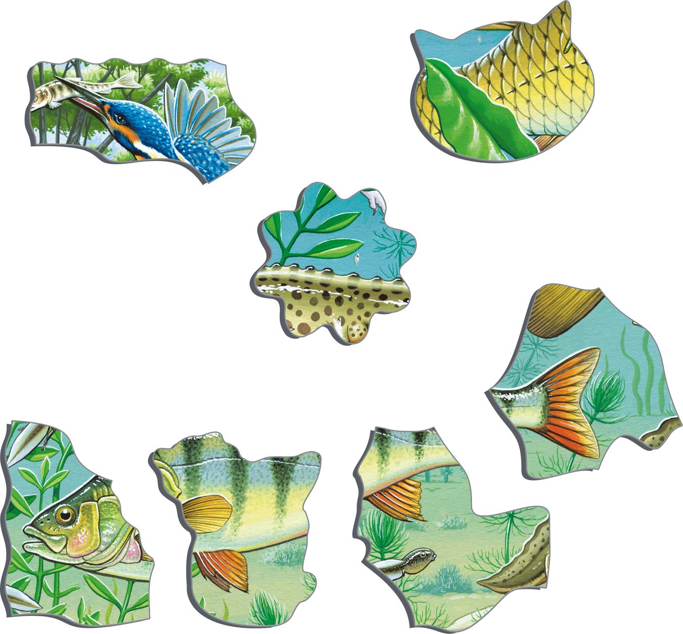 FH19 - European Aquatic Pond Ecosystem :: Animals :: Puzzles :: Larsen ...