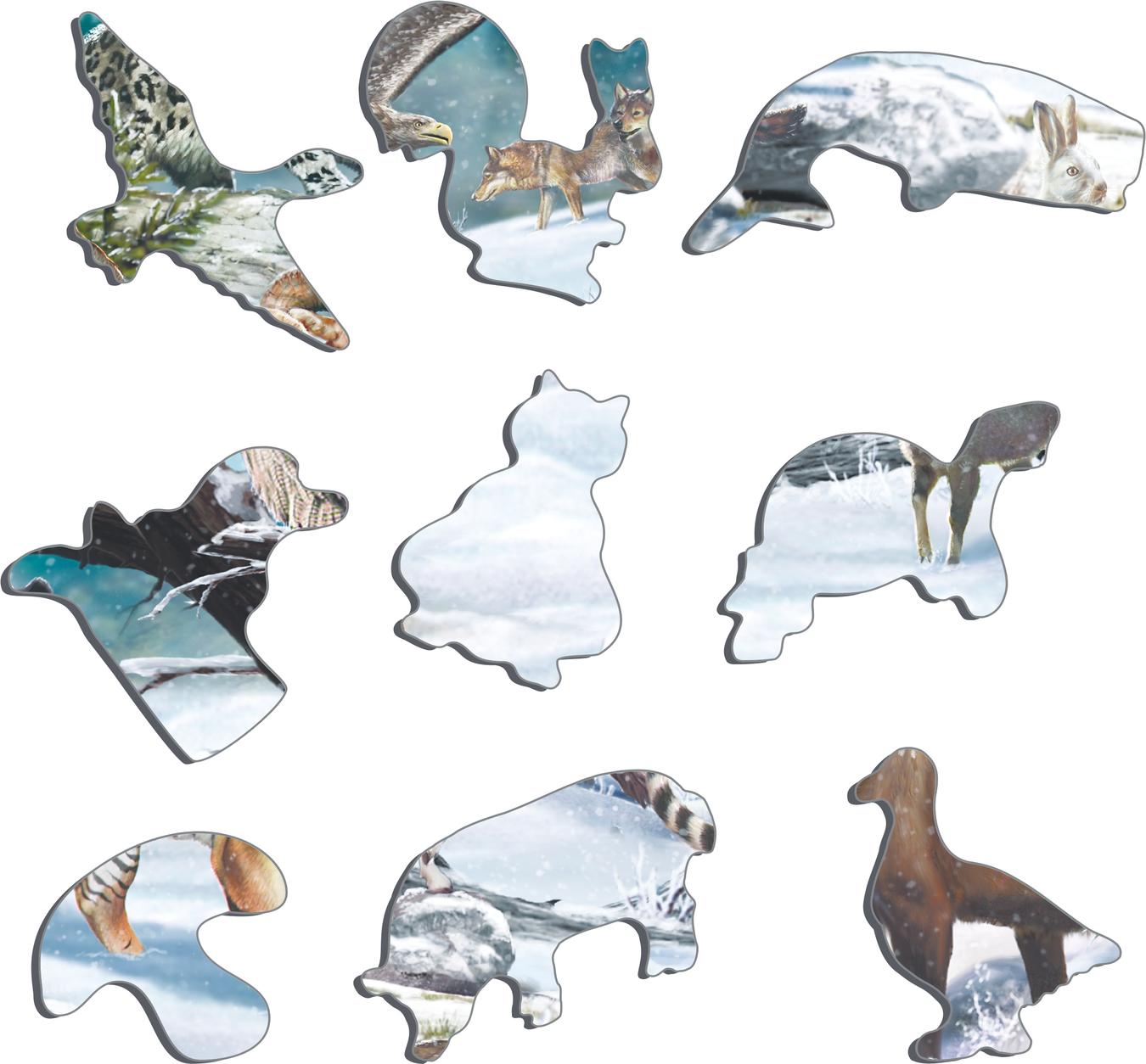 FH34 - Winter Wildlife in Siberia and Northeast Asia :: Animals ...