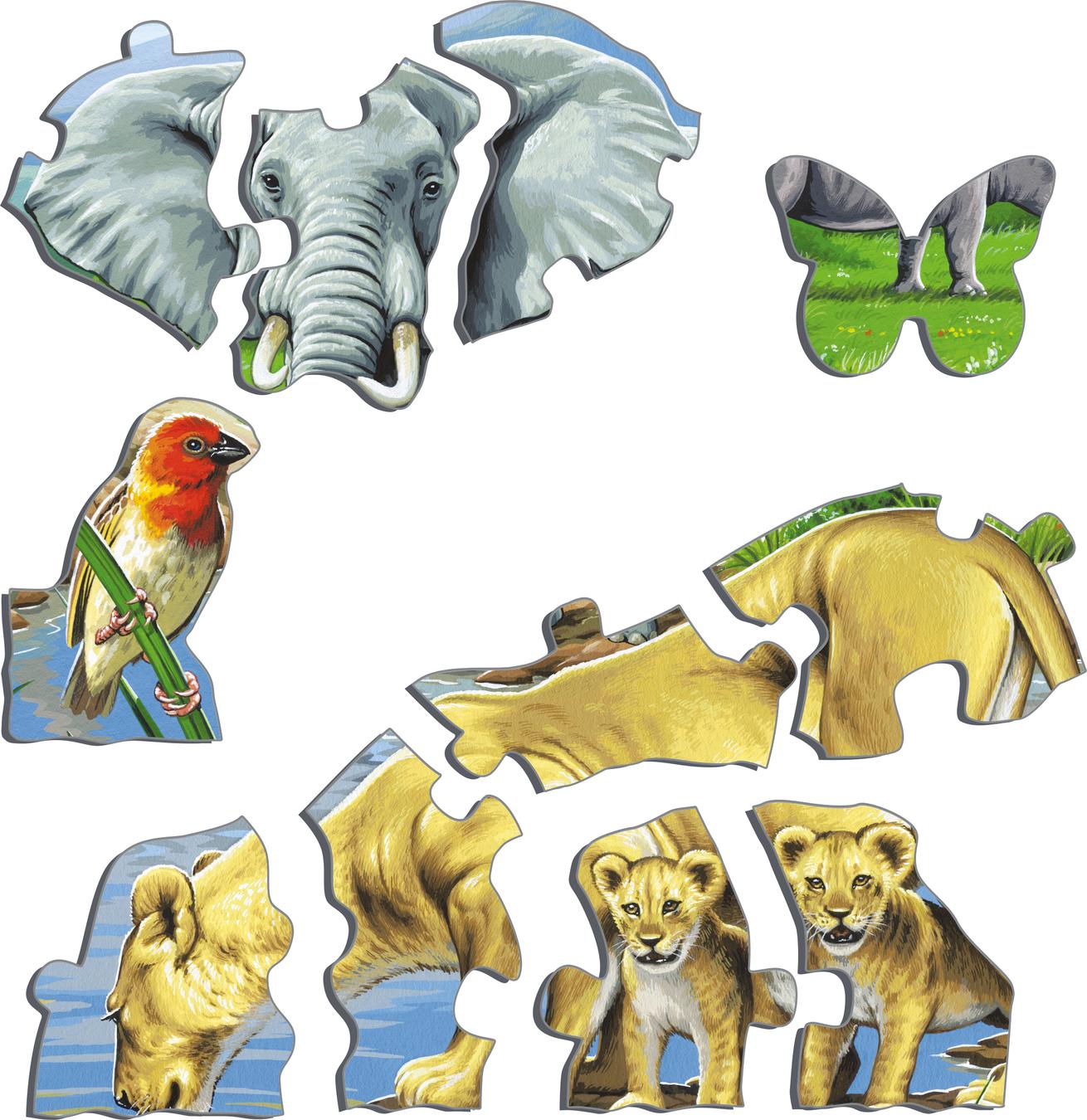 FH9 - Watering Hole on the African Savannah :: Animals :: Puzzles ...