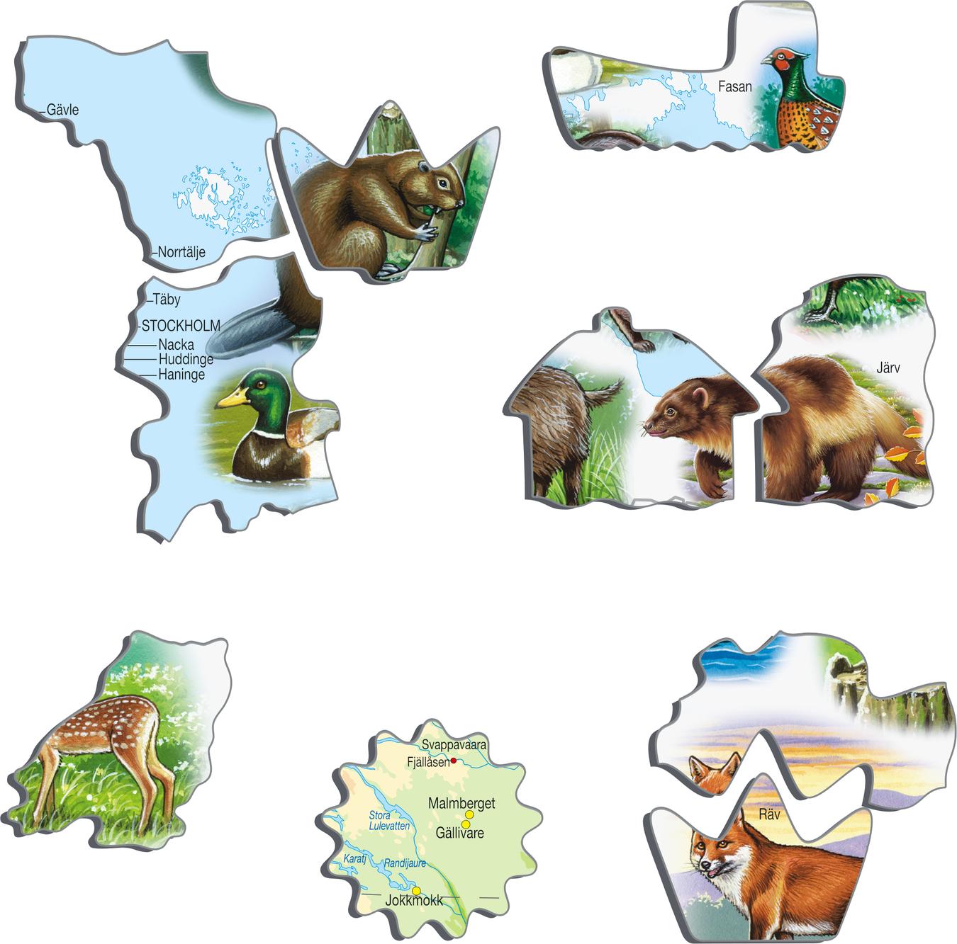 K6 - Sweden Physical Map :: Maps of countries :: Puzzles :: Larsen Puzzles