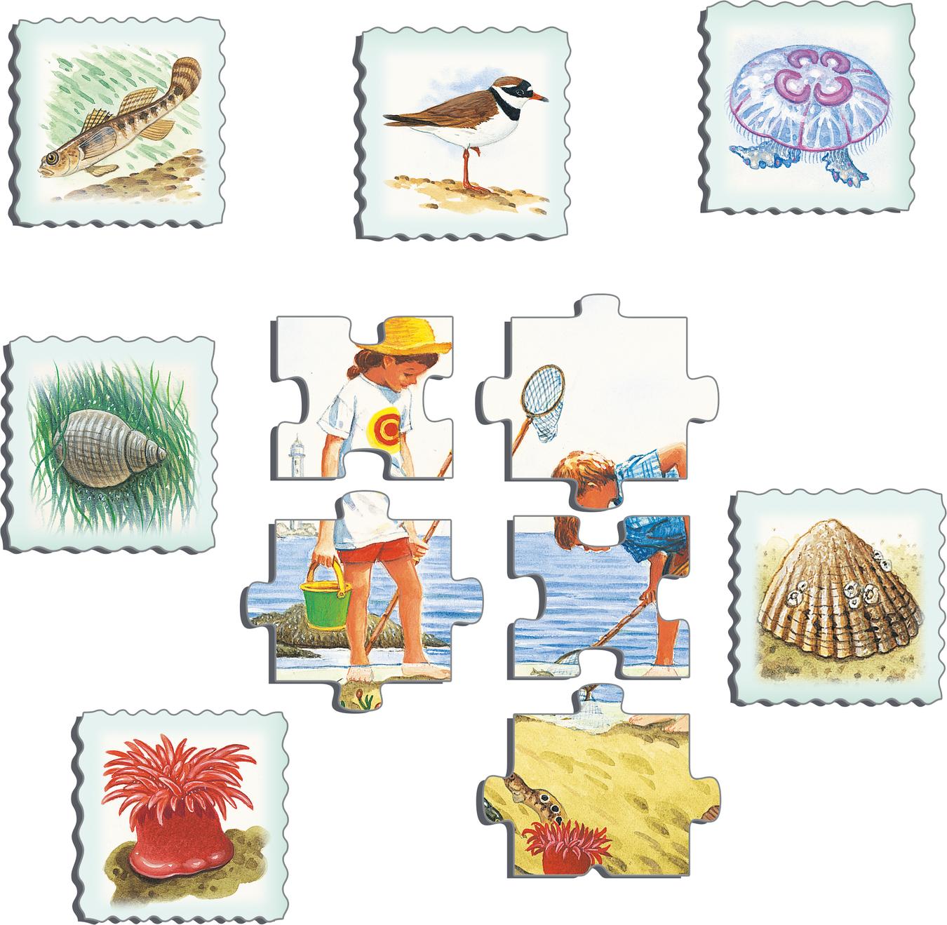 NA2 - Nature Puzzle: Seaside :: Science and facts :: Puzzles :: Larsen ...