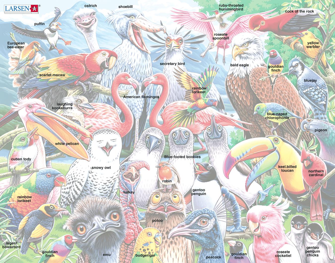 CZ5 - Cheerful birds from all over the world :: Animals :: Puzzles ...