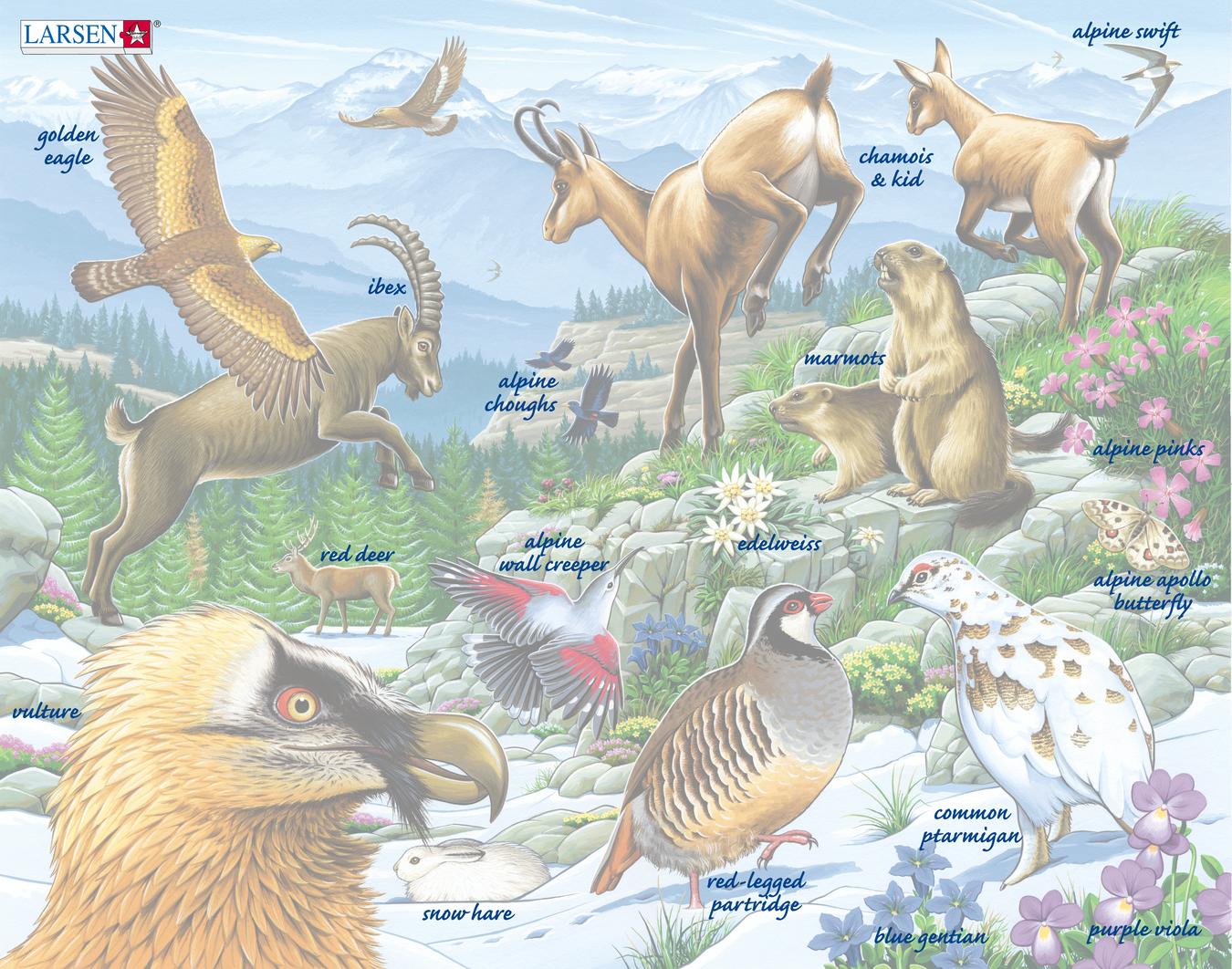 FH12 - Beautiful Scenery from the Alps :: Animals :: Puzzles :: Larsen ...