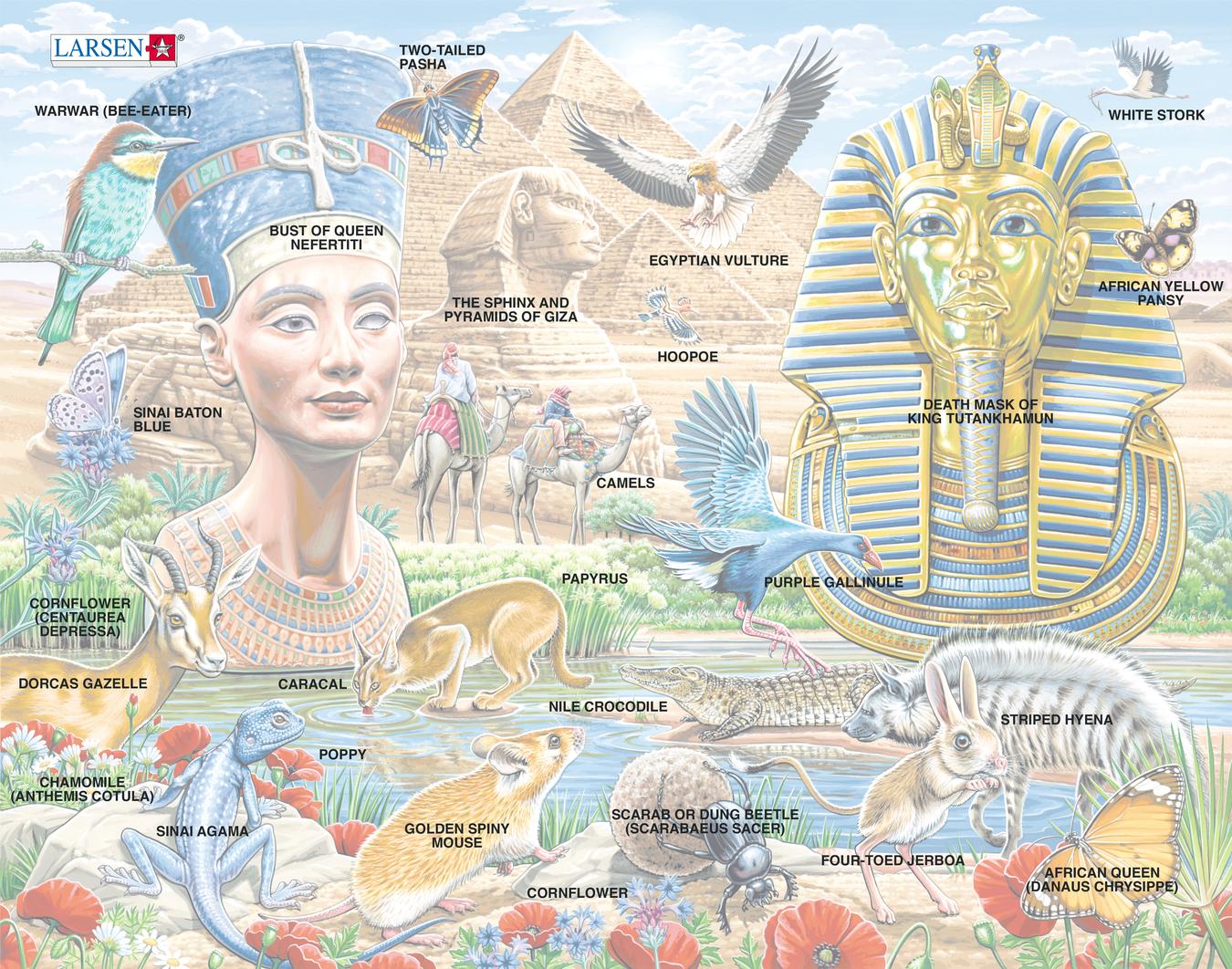 HL11 - The Sphinx and pyramids, Egyptian wildlife, Nefertiti and ...