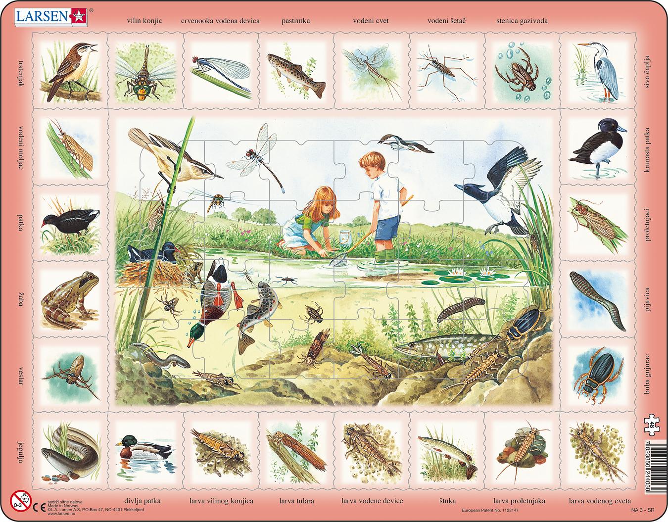 NA3 - Nature Puzzle: Pond :: Science and facts :: Puzzles :: Larsen Puzzles