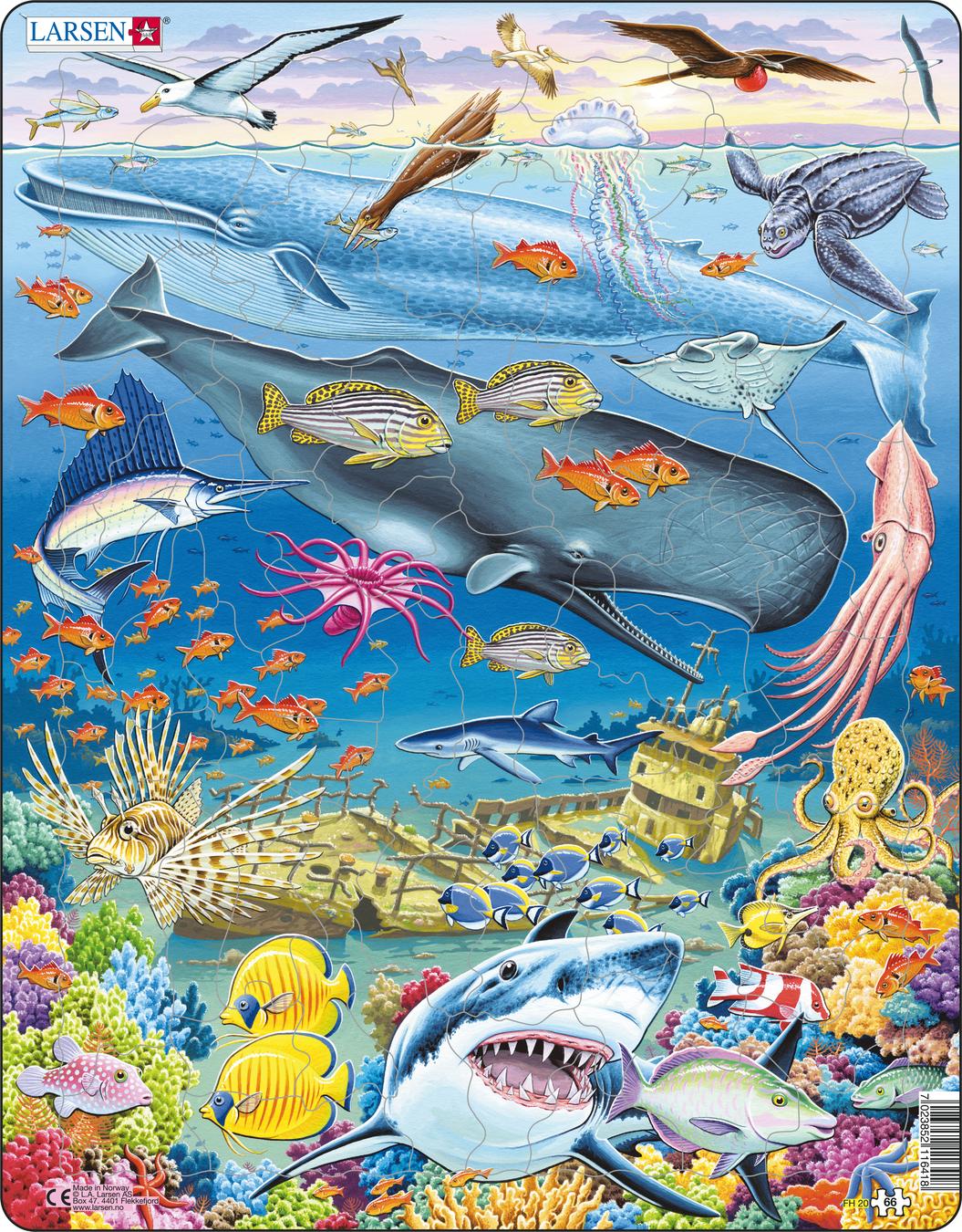 FH20 - Marine Life in the Pacific Ocean :: Animals :: Puzzles :: Larsen ...