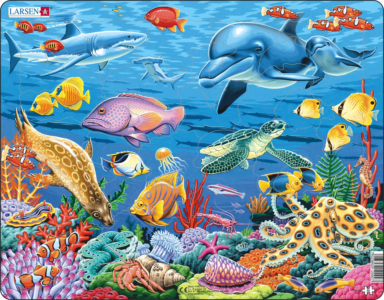 FH29 - Marine Life on a Coral Reef :: Animals :: Puzzles :: Larsen Puzzles